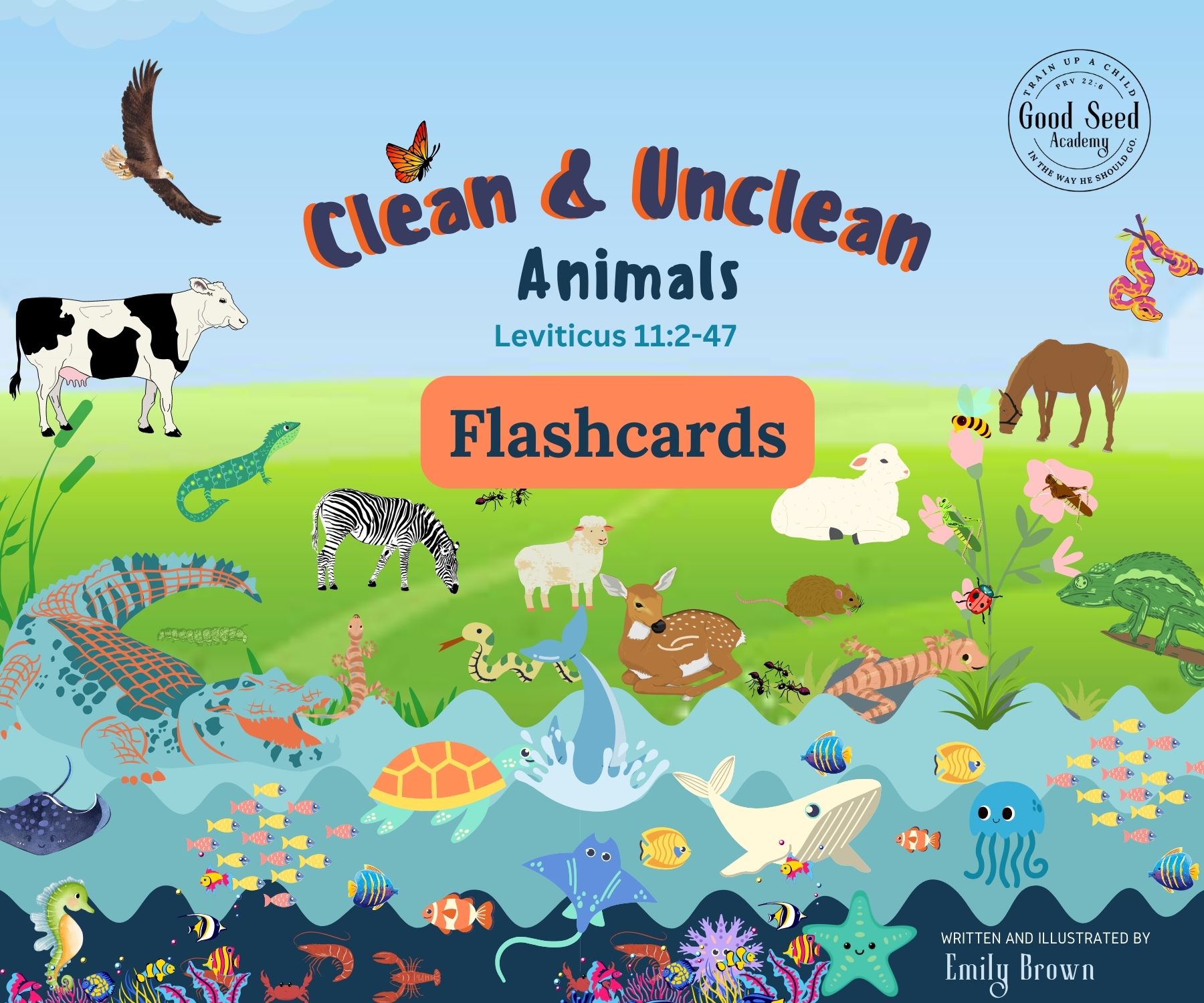 Clean & Unclean Animals Flash Cards – Free Download